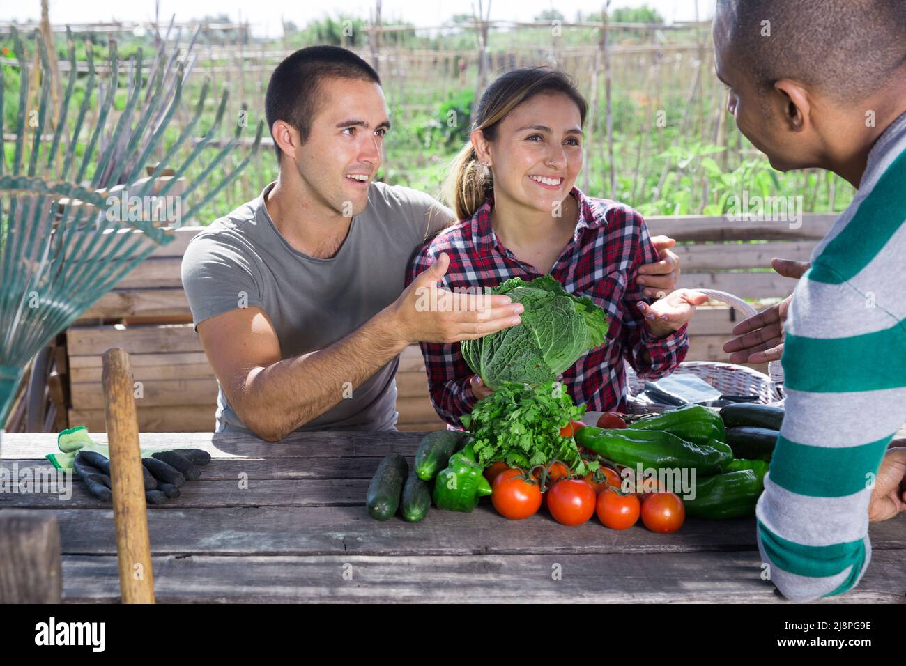 Good friends have conversation at table in the backyard Stock Photo - Alamy