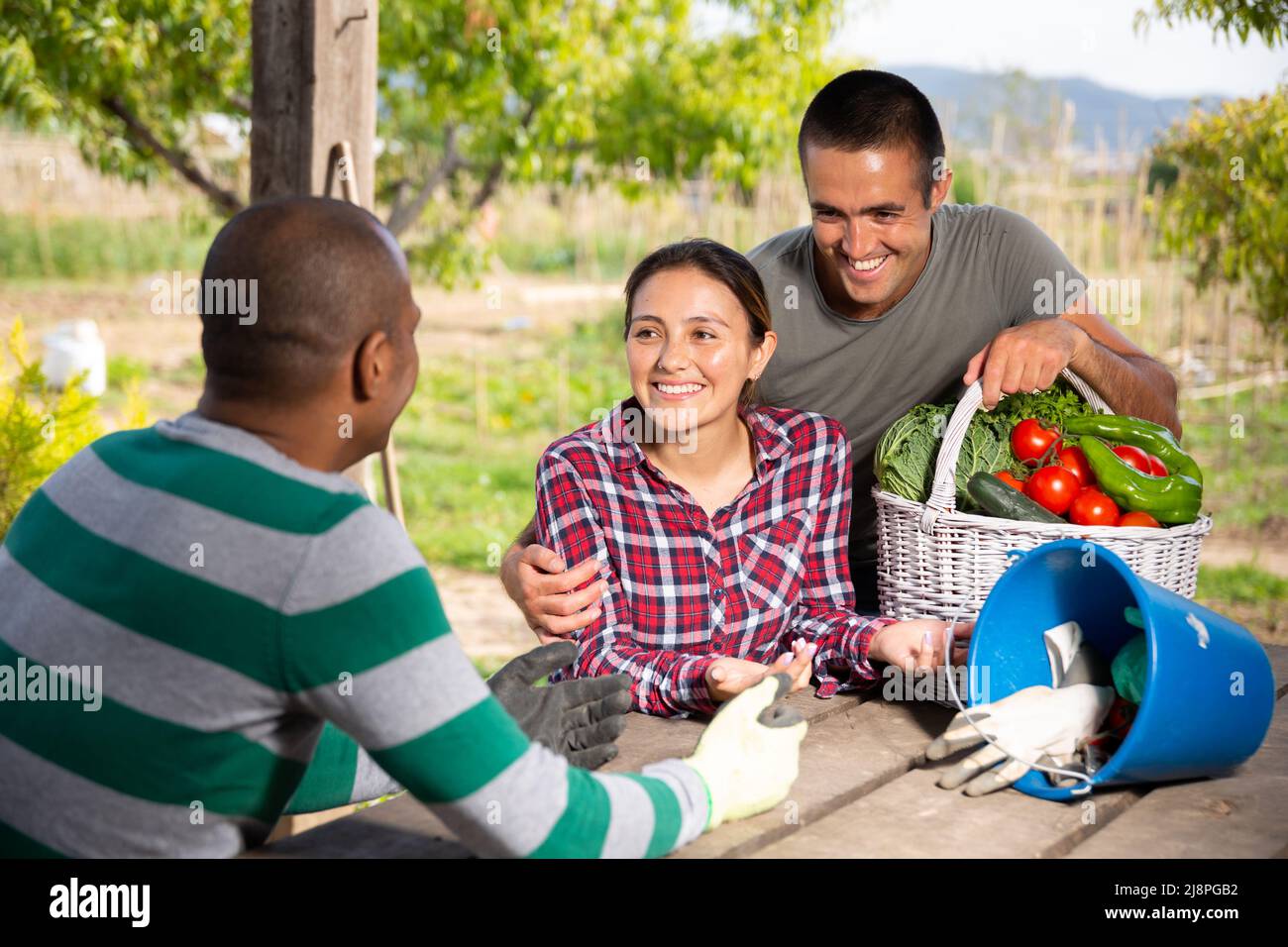 Cheerful couple of gardeners talking to neighbor outdoors Stock Photo ...
