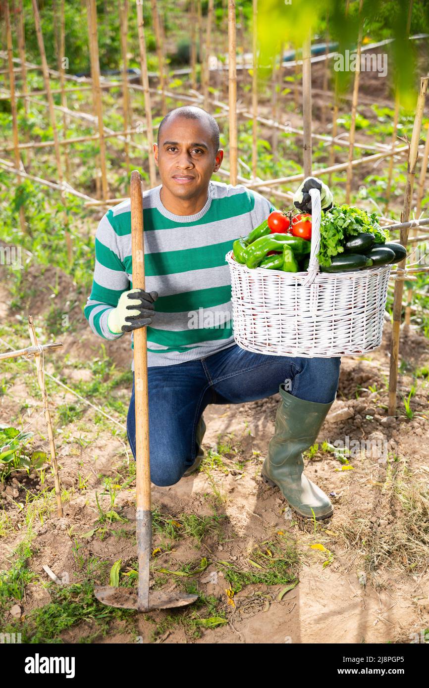 Hispanic gardener proud of harvest of vegetables Stock Photo - Alamy
