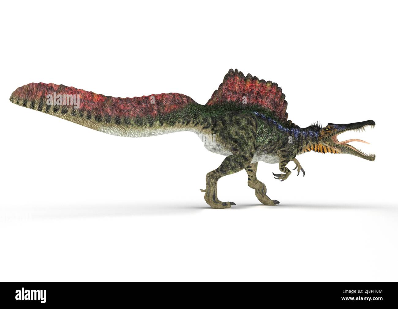 Spinosaurus dinosaur, illustration Stock Photo - Alamy
