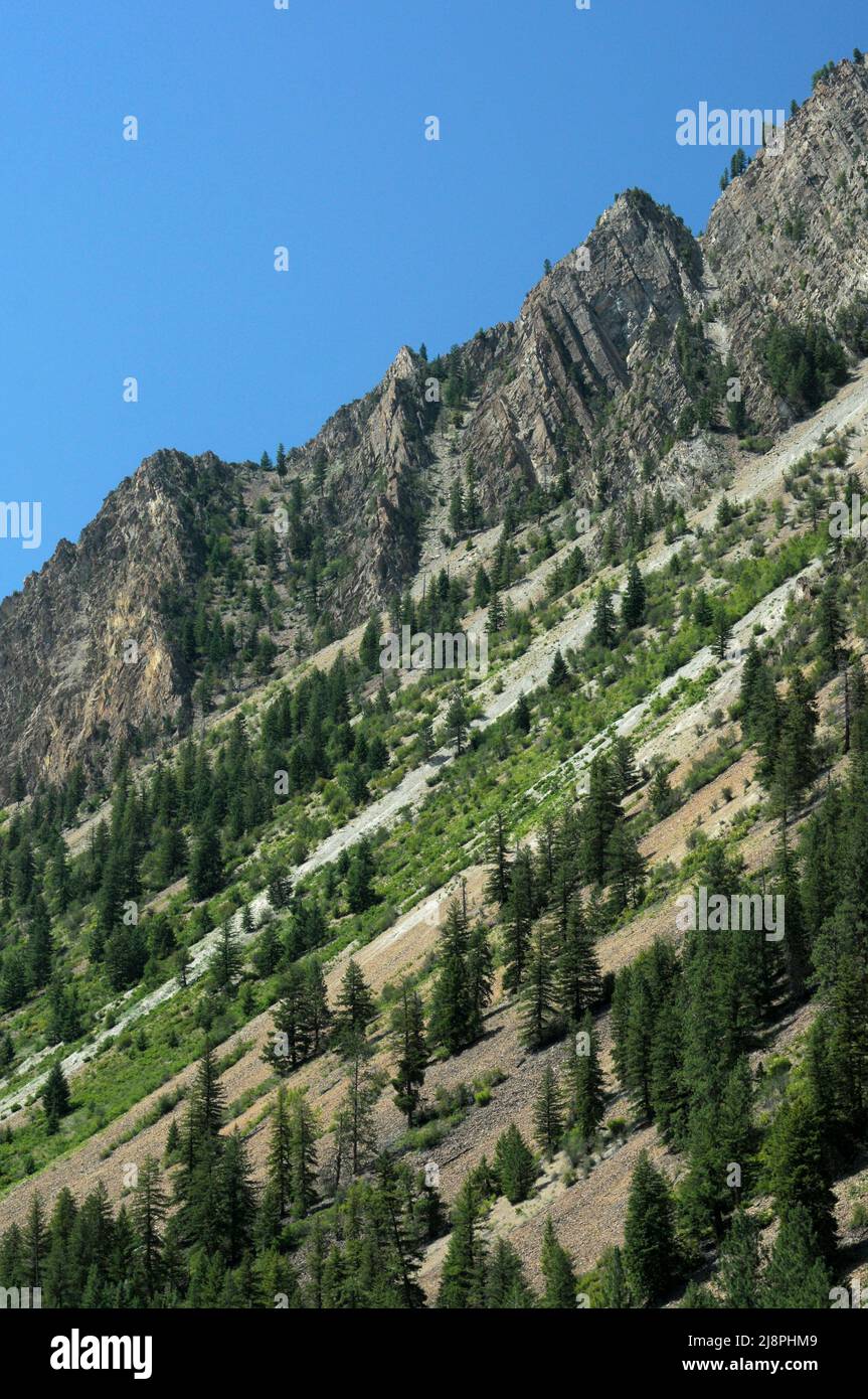 Lolo national forest hi-res stock photography and images - Alamy