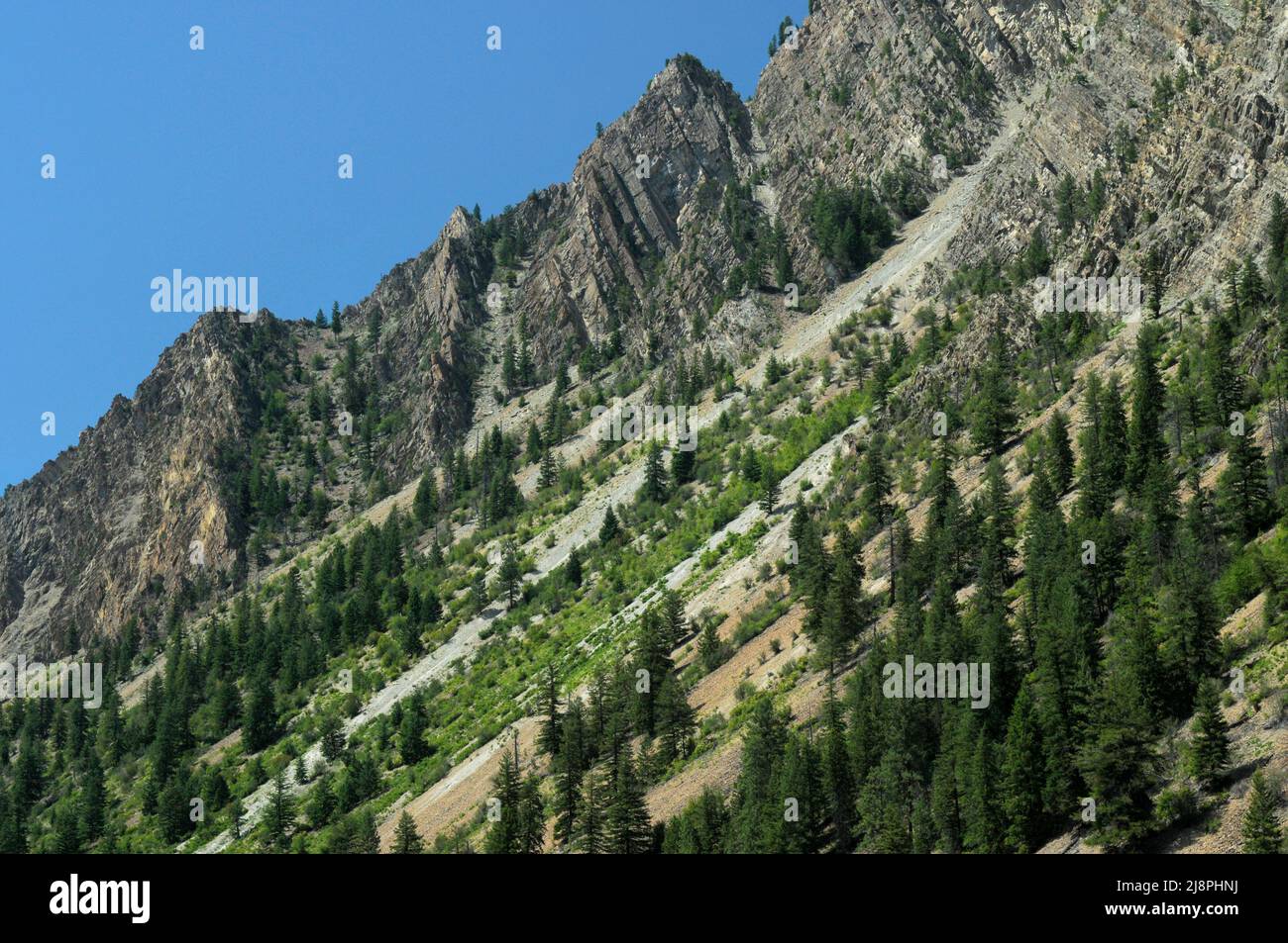 Lolo national forest hi-res stock photography and images - Alamy