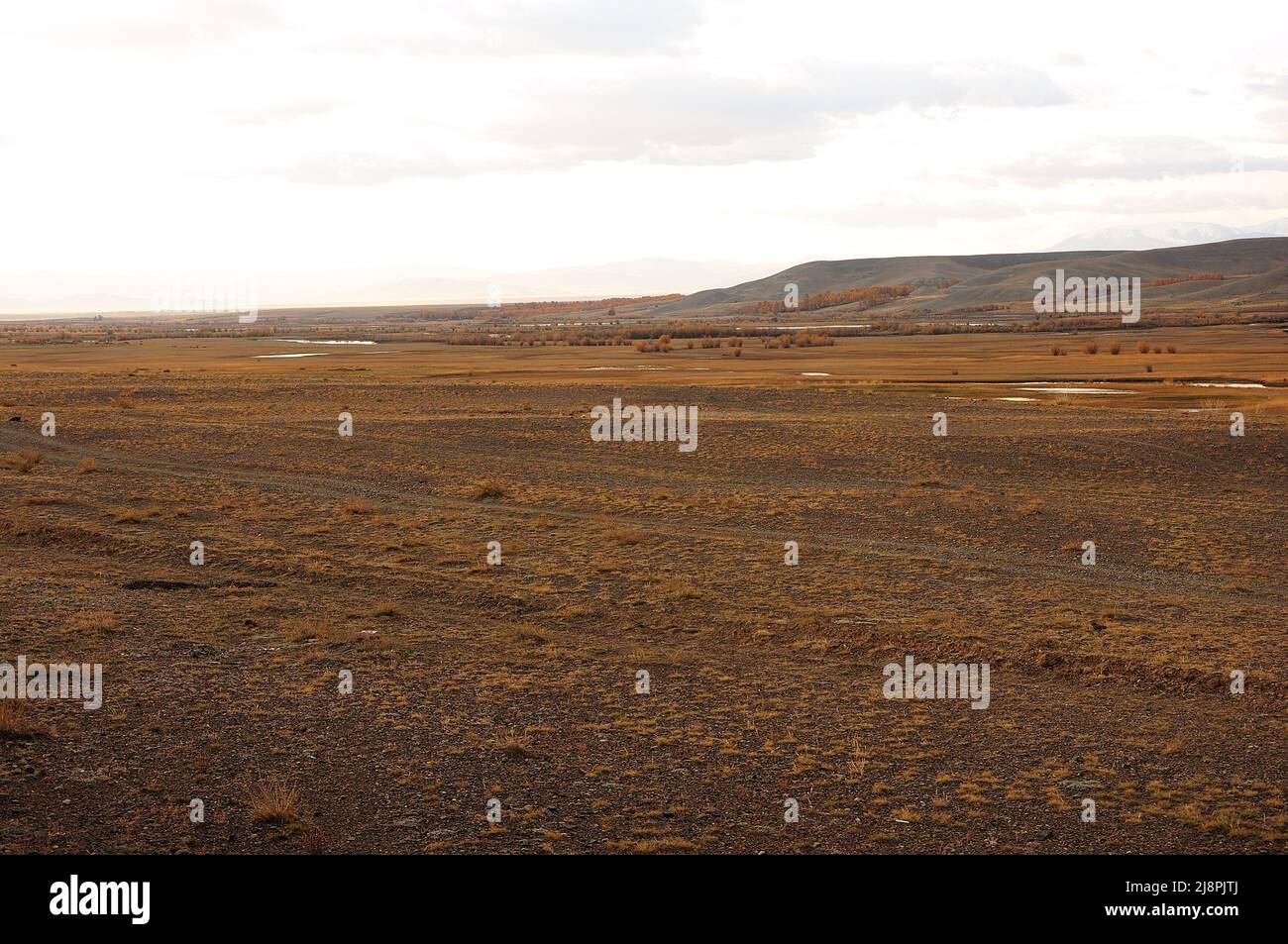Flat boundless desert steppe at the foot of a mountain range in early ...