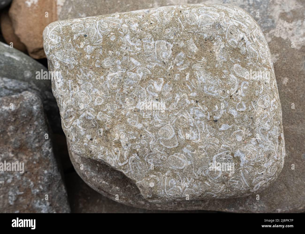 Natural background pattern, natural stone texture. sea stone. High ...