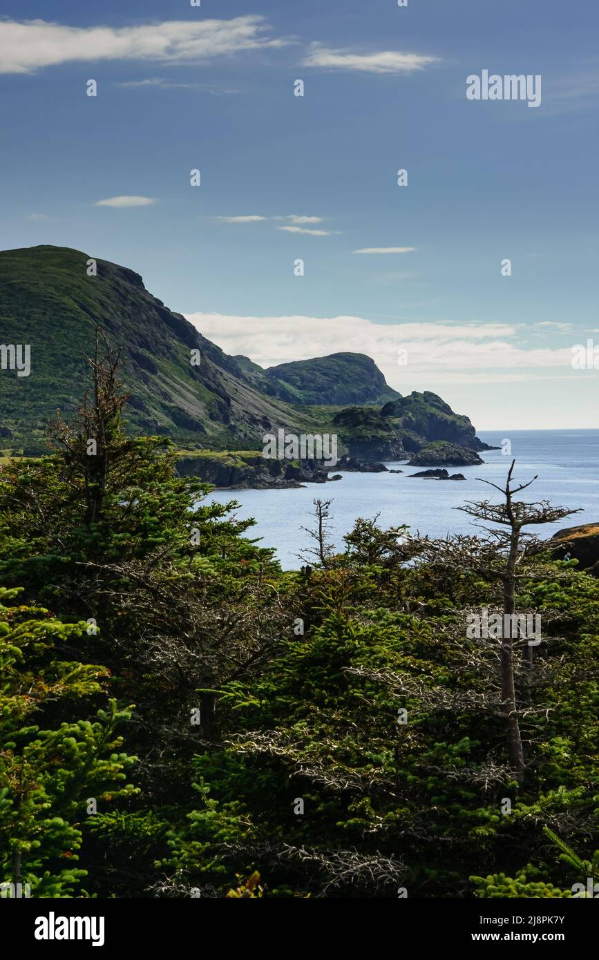 Newfoundland's Atalntic Coastline Stock Photo - Alamy