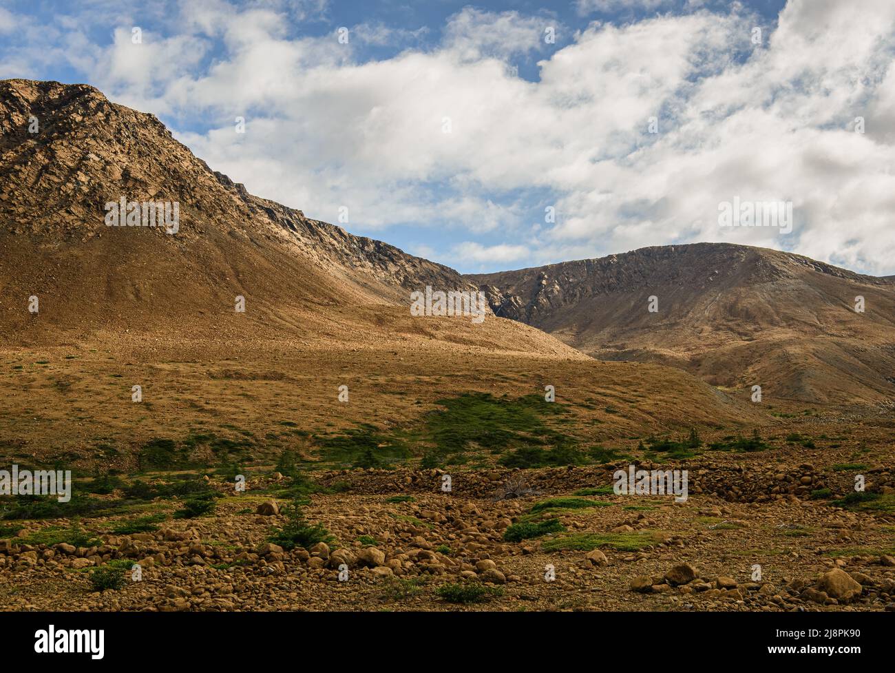 Ancient earth crust hi-res stock photography and images - Alamy