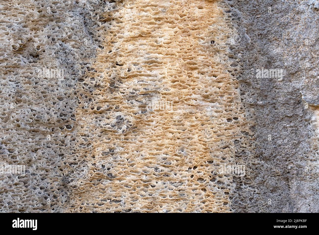 Bin trash graffiti wall hi-res stock photography and images - Alamy