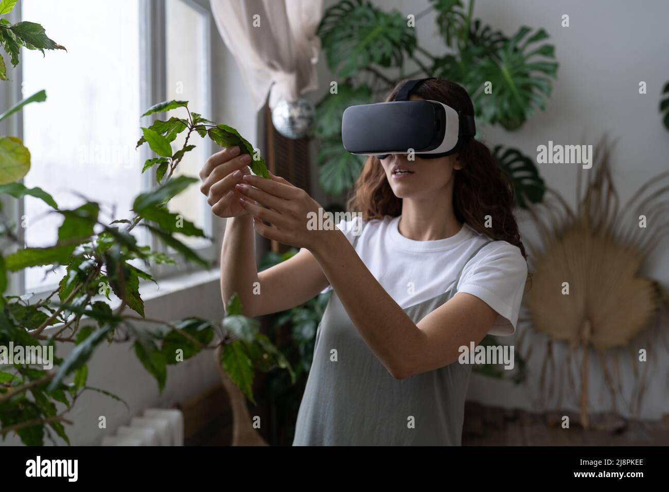 Home gardening, metaverse. Woman using VR glasses in greenhouse ...