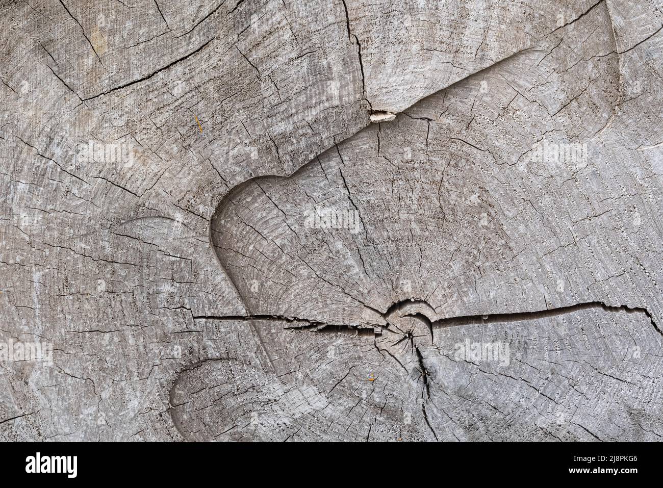 Wood Texture With Natural Pattern. High quality photo Stock Photo - Alamy