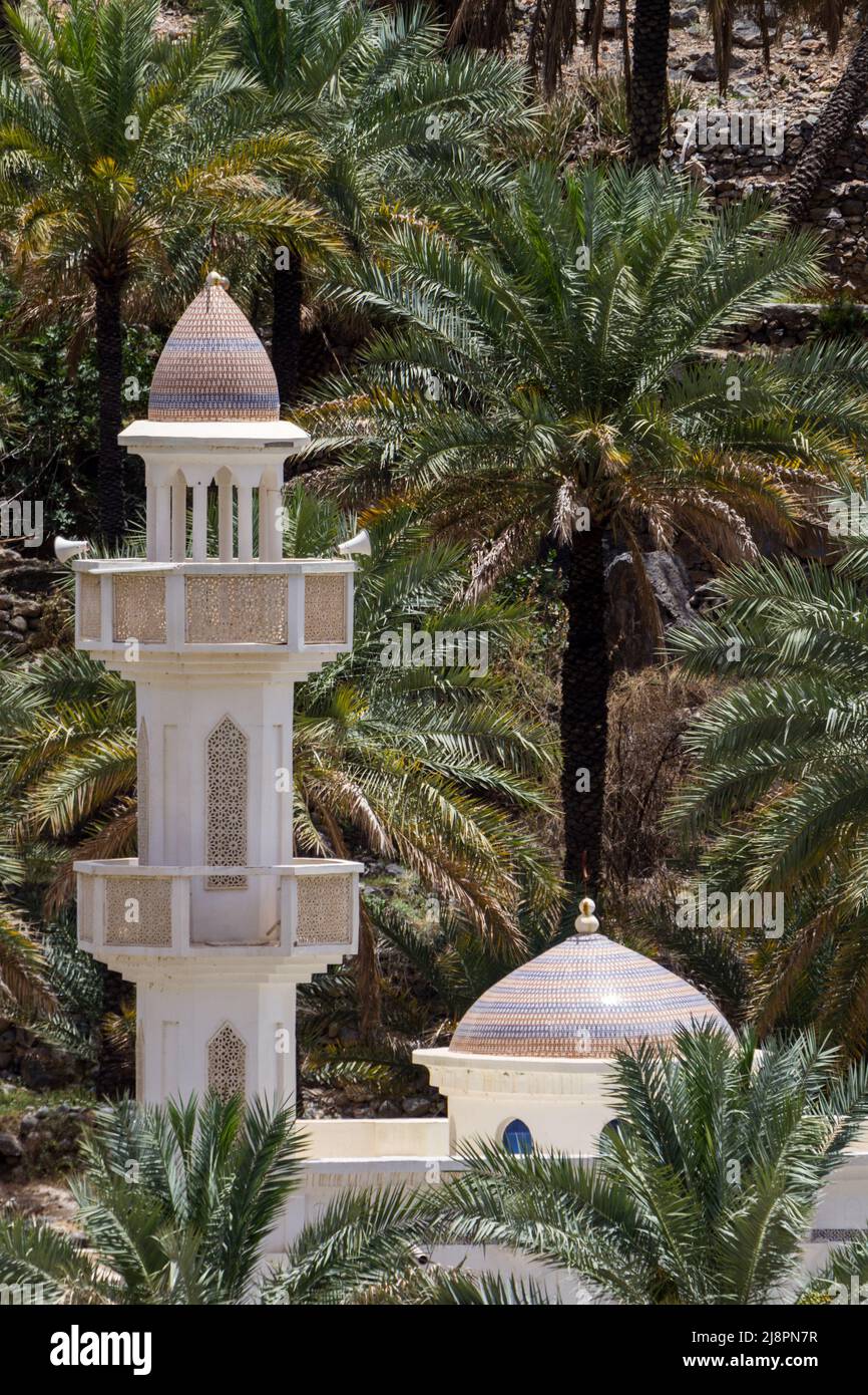Oman date palm trees hi-res stock photography and images - Alamy