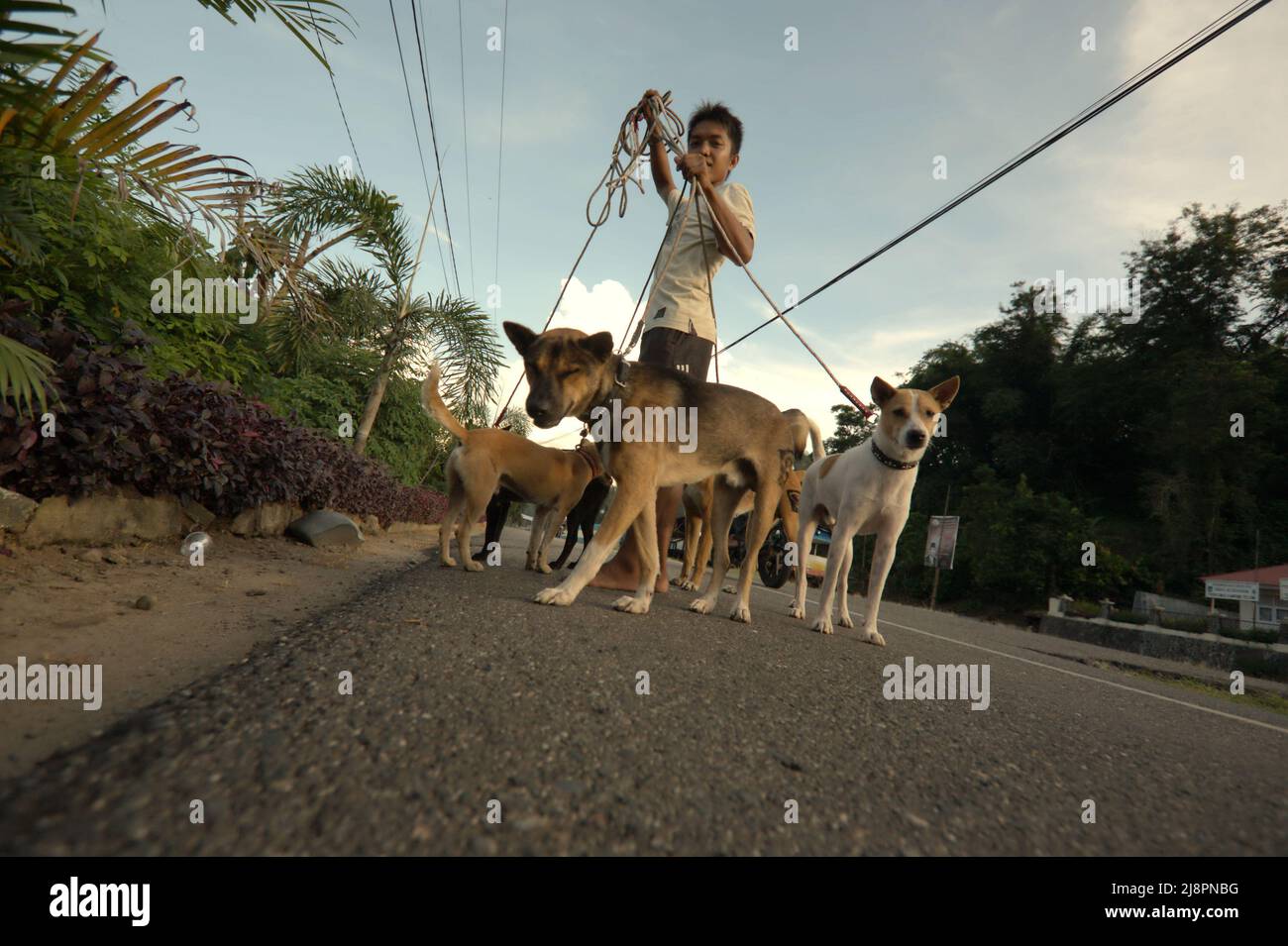 Sumatran rural life hi-res stock photography and images - Alamy