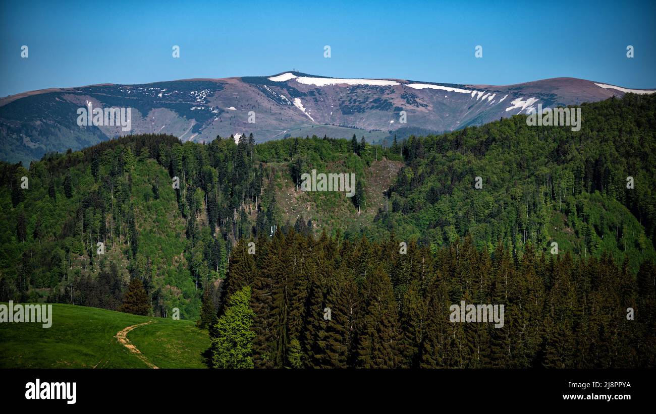 Colorful spring mountain landscape. Mount Krizna, Velka Fatra, Slovakia ...