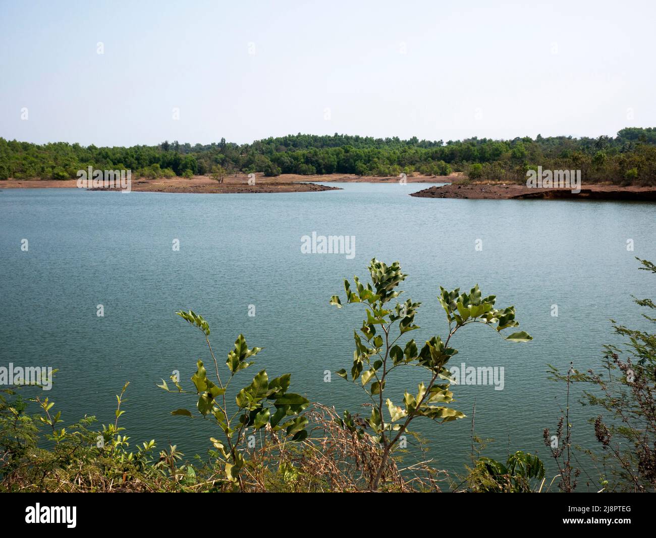 View of a man made lake at village Kasal district Sindhudurg state ...