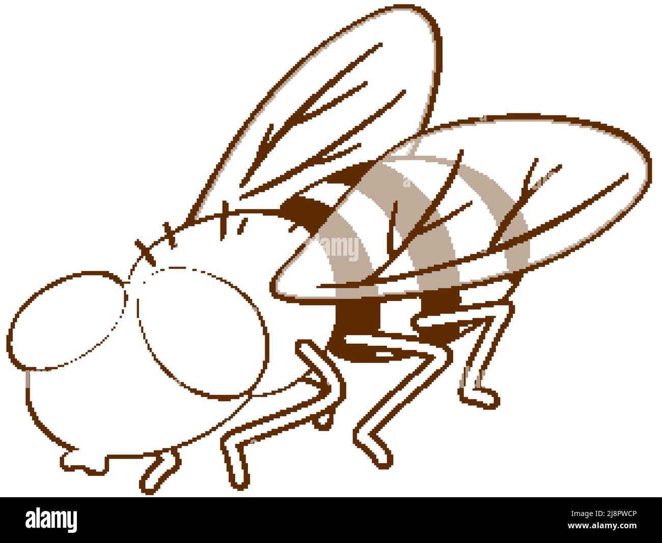 Fly in doodle simple style on white background illustration Stock ...