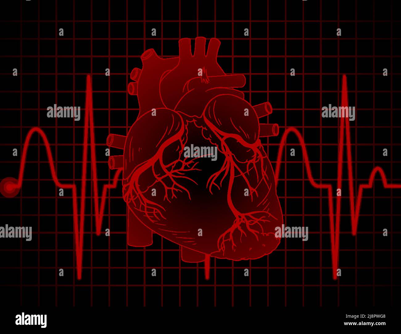 Heartbeat with heart rate graph illustration Stock Vector Image & Art ...