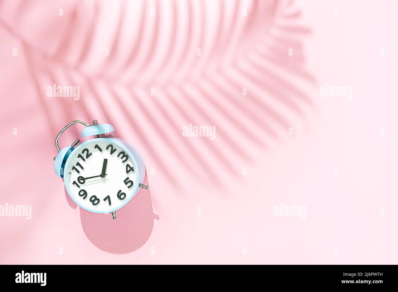 Summer time concept idea with retro blue alarm clock and tropical palm ...