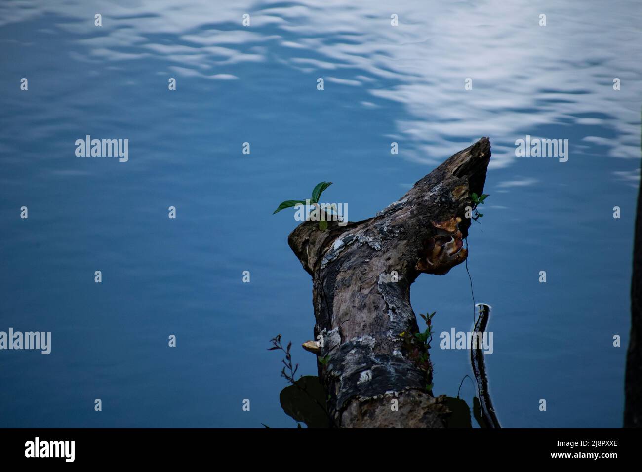 Conceptual images hi-res stock photography and images - Alamy