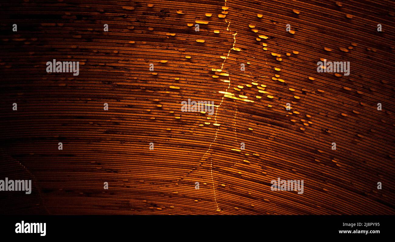Liquid gold vinyl hi-res stock photography and images - Alamy