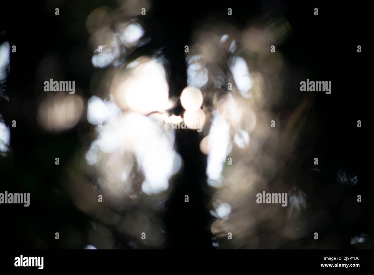 Nachural images hi-res stock photography and images - Alamy