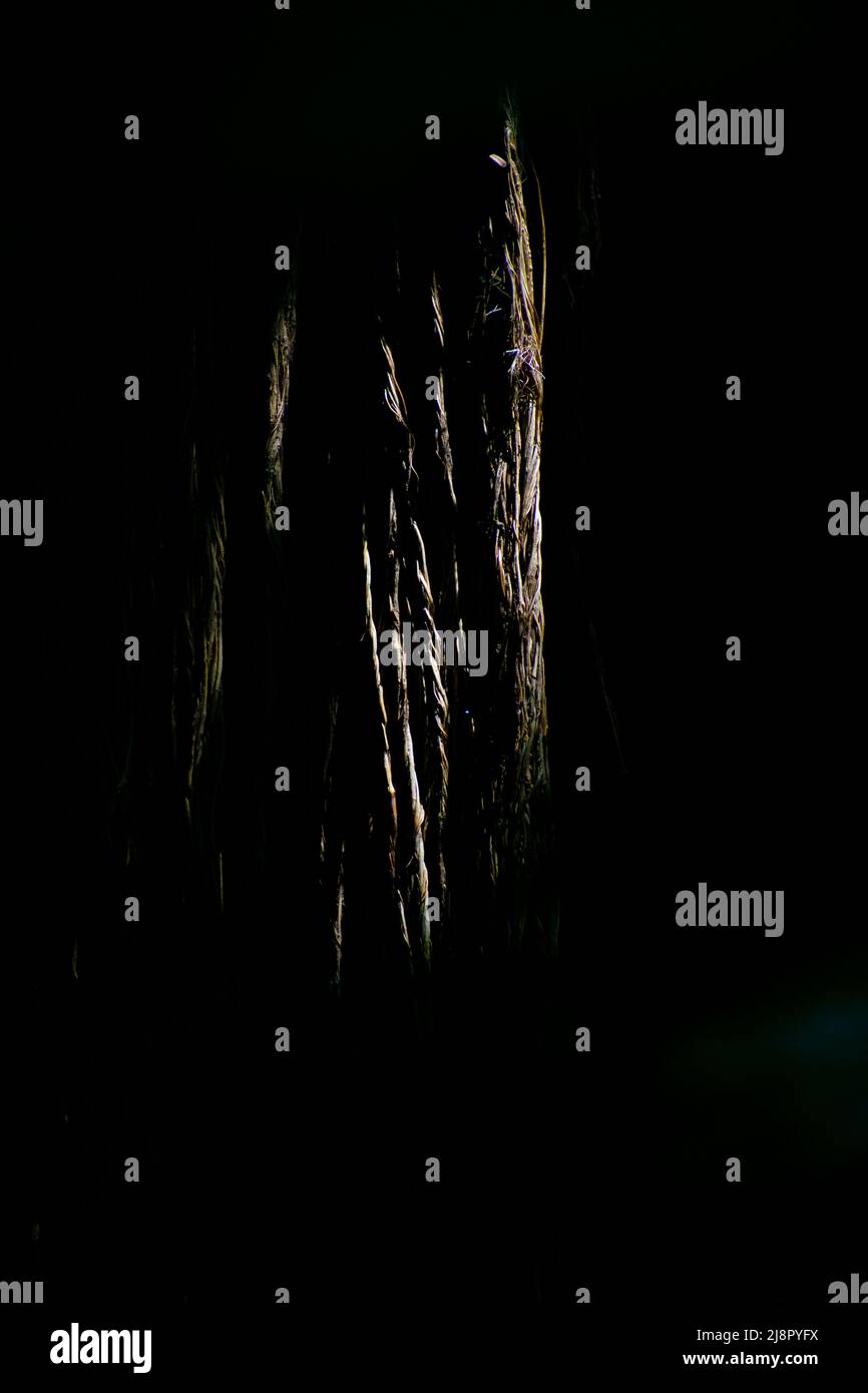 Nachural images hi-res stock photography and images - Alamy