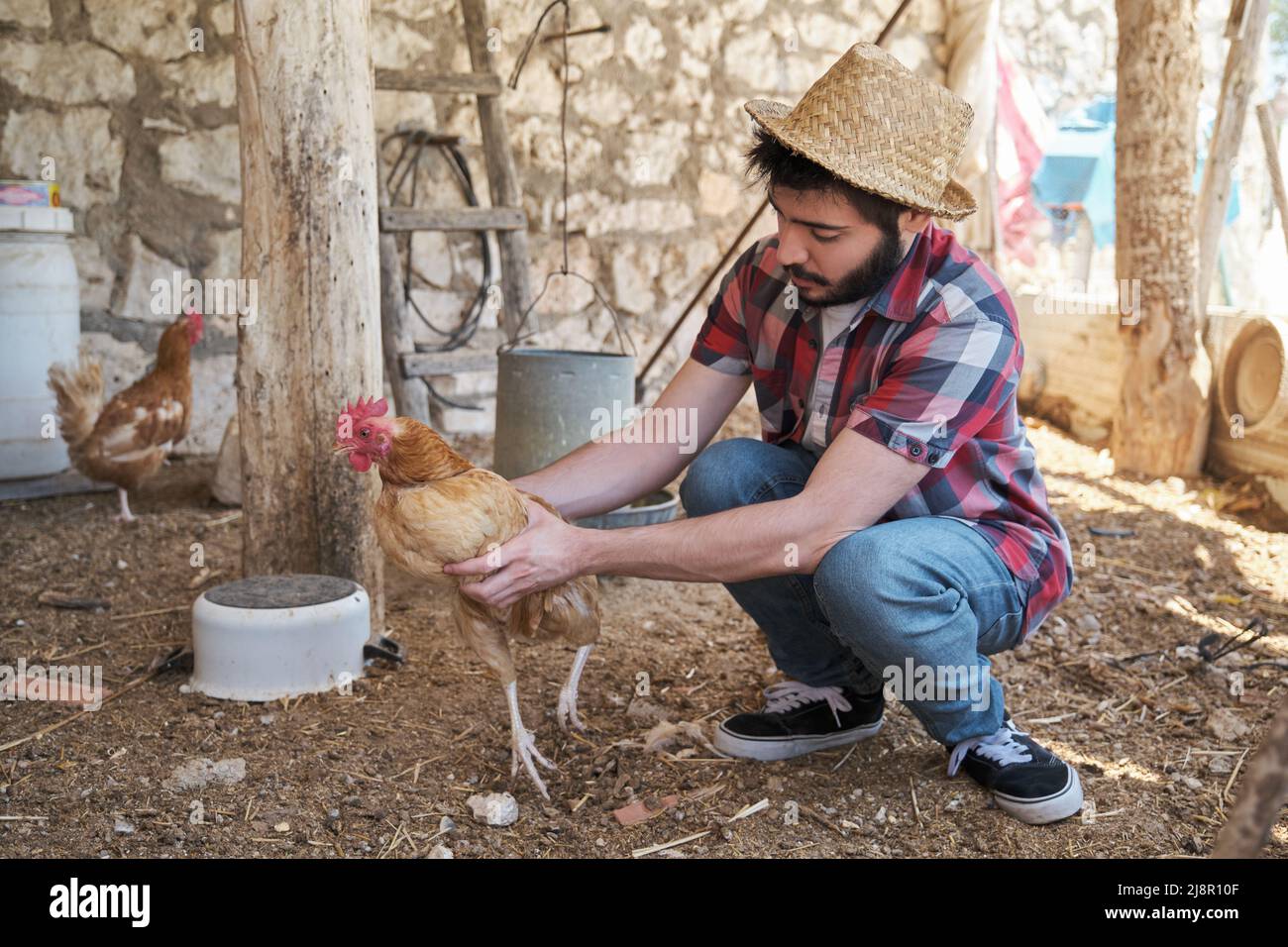 Man with hen hi-res stock photography and images - Alamy