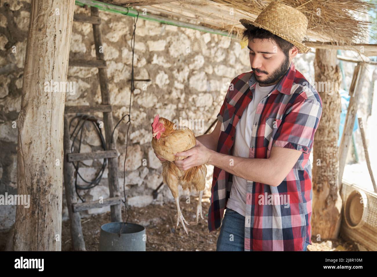 Man holding chick hi-res stock photography and images - Alamy