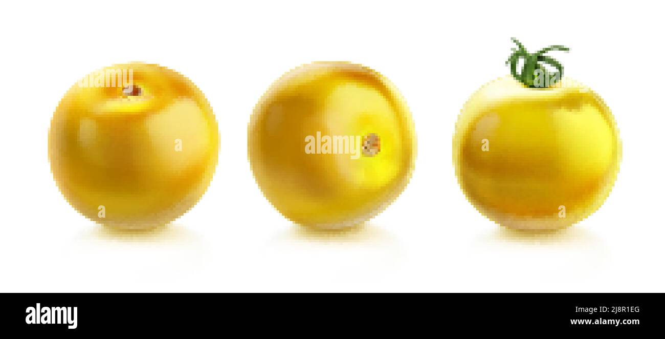 Tomato cherry, yellow tomatoes whole with green stalk, realistic vector illustration isolated on ...