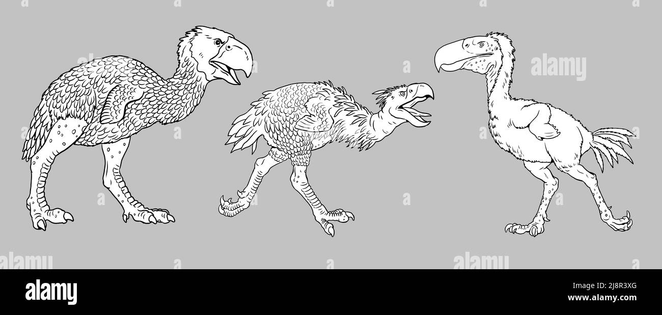 Prehistoric birds of prey. Kelenken, titanis and gastornis. Drawing ...