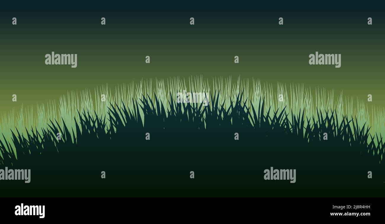 Grass. Nature rural landscape. Pasture overgrown. Overgrown dense lawn ...