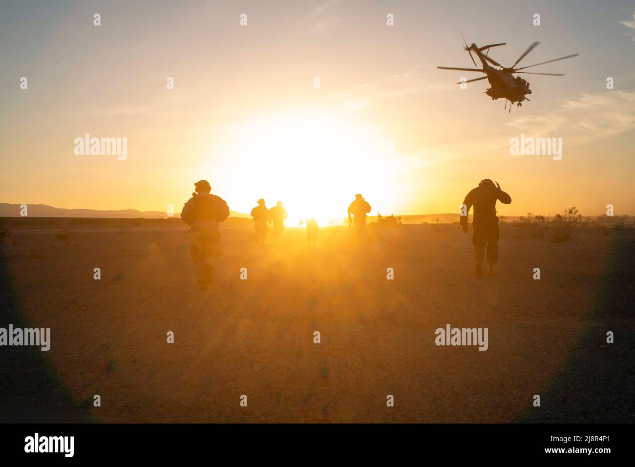 1st landing support battalion hi-res stock photography and images - Alamy
