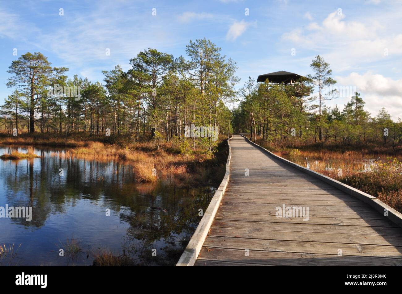 Estoniannature hi-res stock photography and images - Alamy