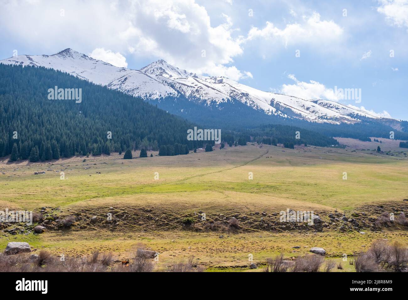 Spring landscape in kyrgyzstan hi-res stock photography and images - Alamy