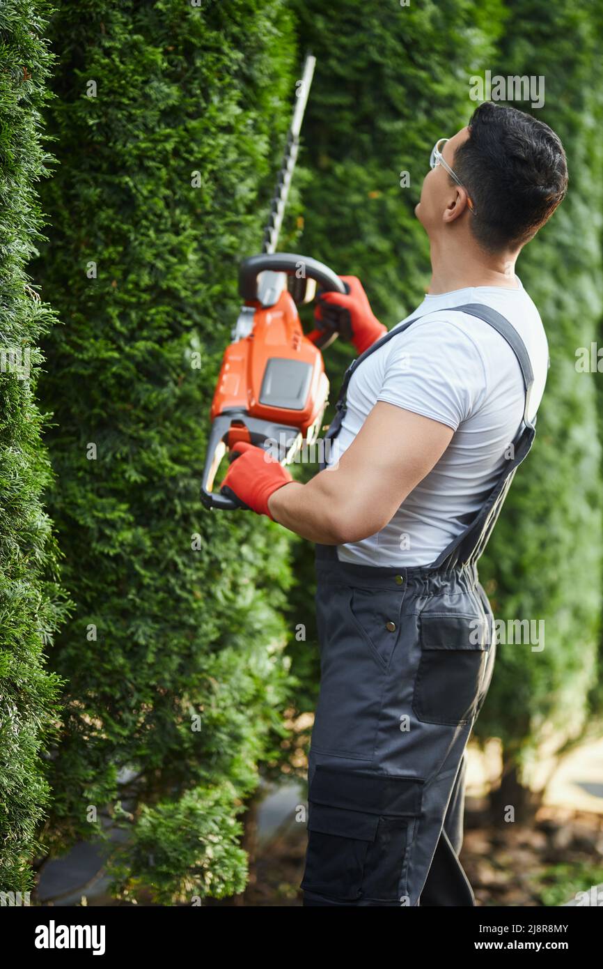 Back view of professional gardener in uniform and gloves using hand ...