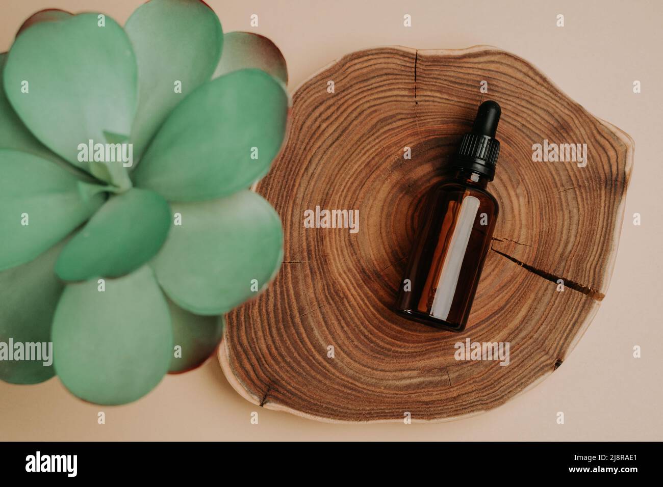 Glass bottle for liquid on timber next to plant Stock Photo - Alamy