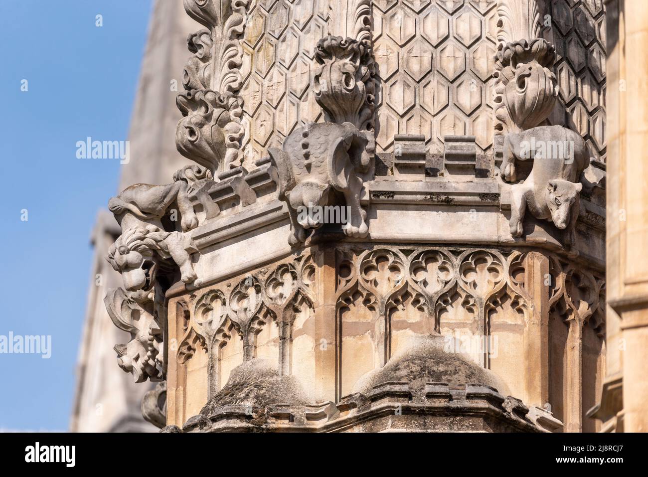 Gargoyle, animal detail on Westminster Abbey. Gothic abbey church in ...