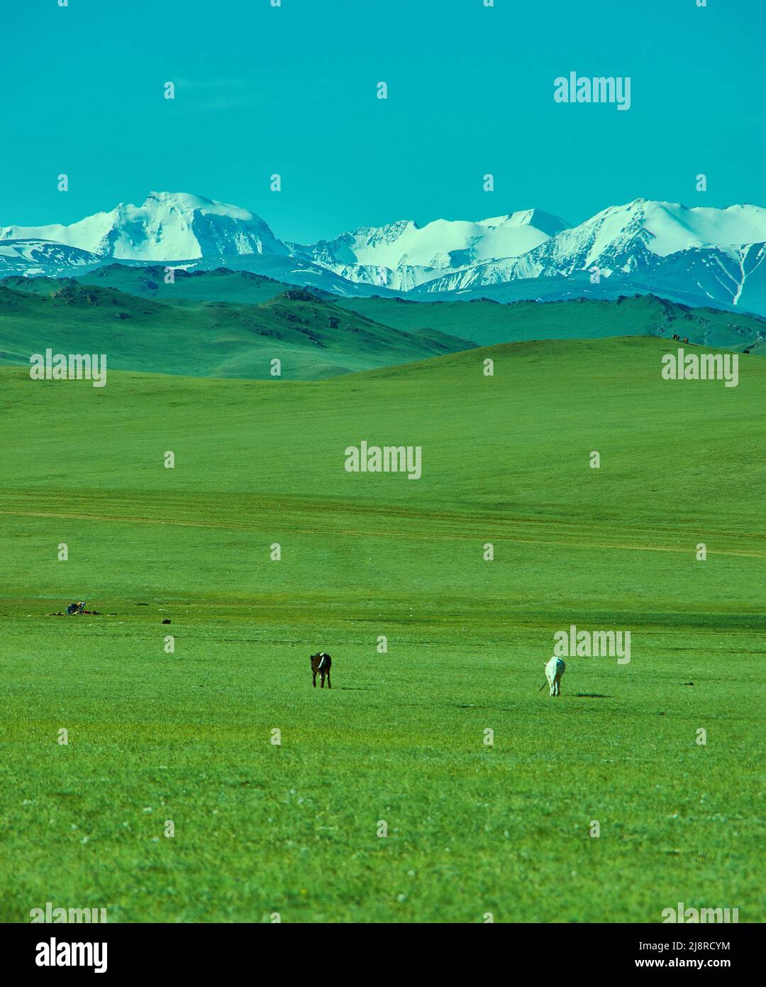 Pass Ulaan davaa, capital of Uvs Province in Mongolia Stock Photo - Alamy