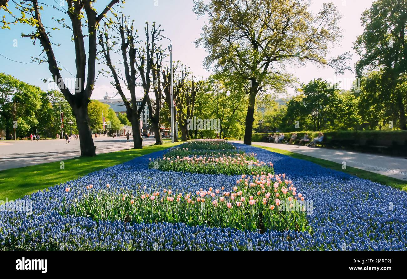Spring flowering season in urban public park Stock Photo - Alamy