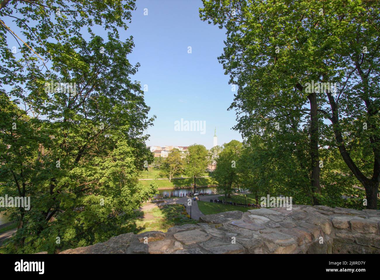 Spring flowering season in urban public park Stock Photo - Alamy