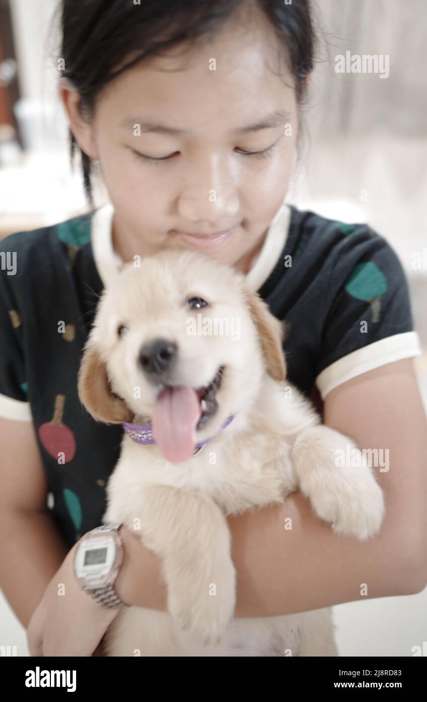 Girl and golden retriever hi-res stock photography and images - Alamy