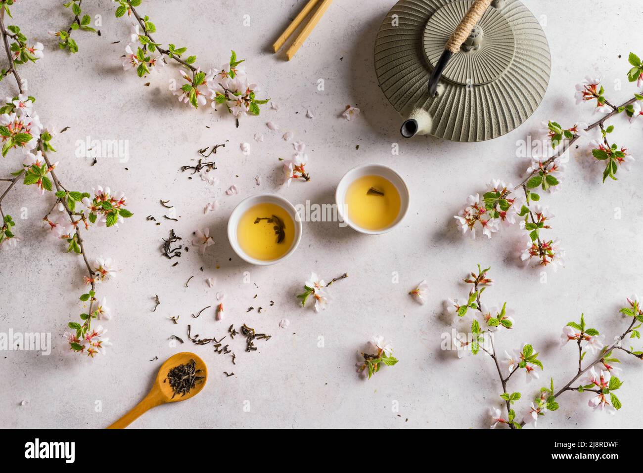 Green Tea and Cherry Blossom on white stone table. Japanese cast iron ...