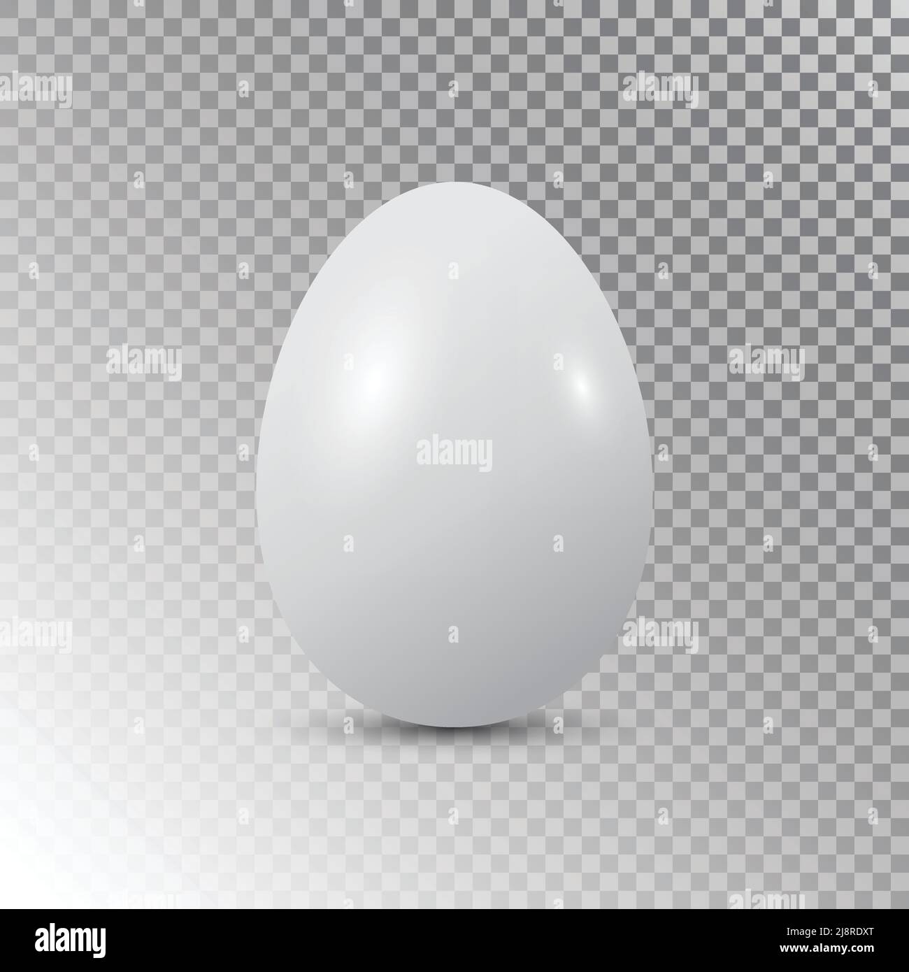 White egg realistic vector Stock Vector Image & Art - Alamy