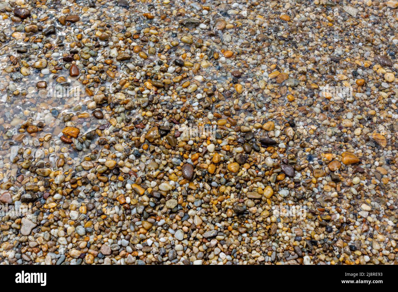 Wet bright shining pebble stones on the beach. Colorful pebbles ...
