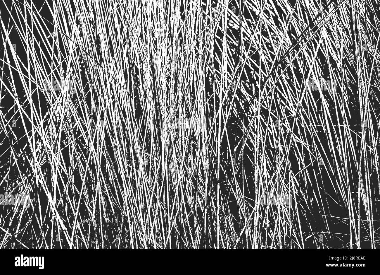 Distressed overlay grass stem texture on the ground. grunge black and ...