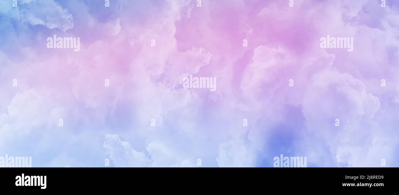 Luxurious And Elegant Watercolor Lively Multicolored Light PurpleBanner ...