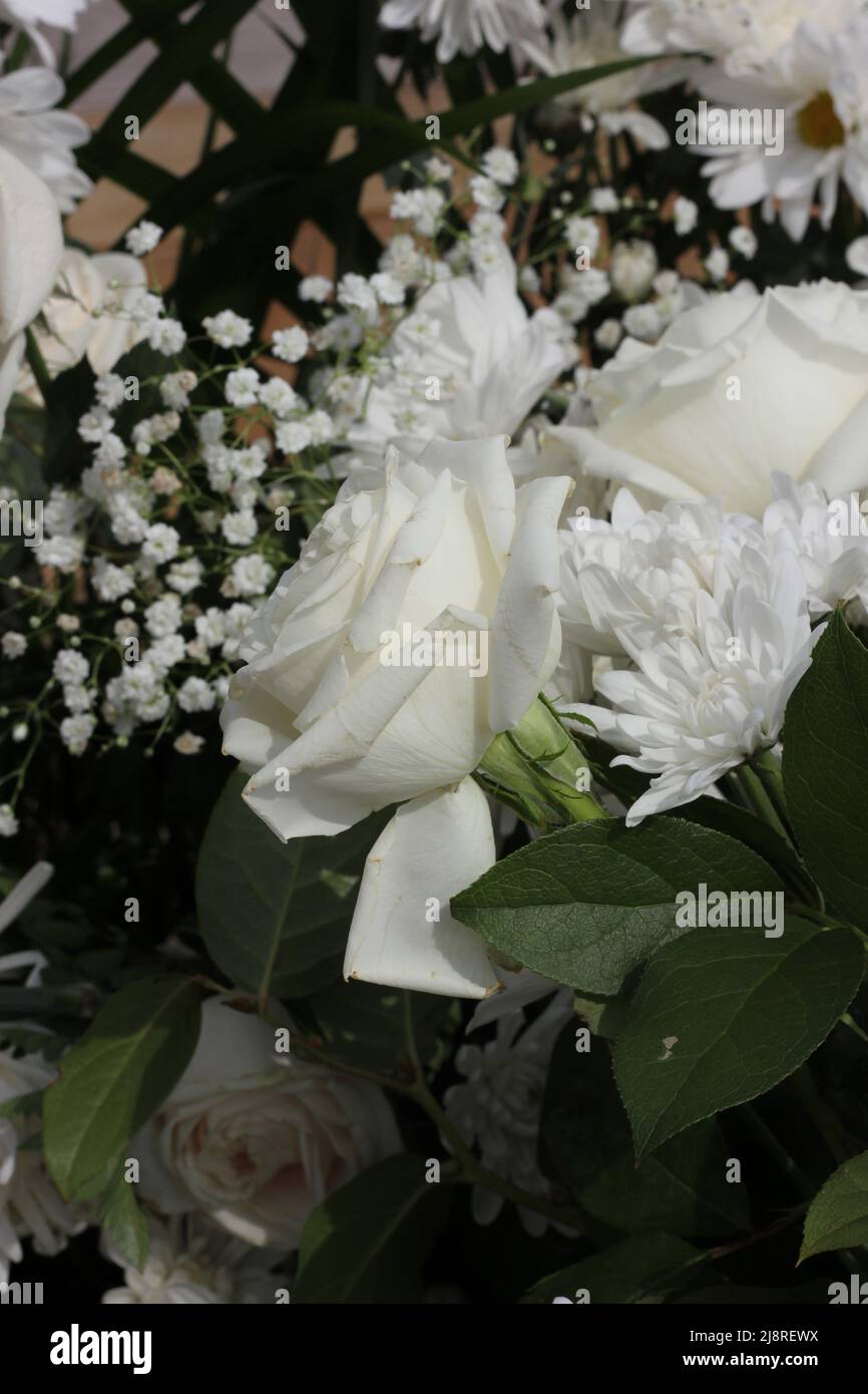 Beautiful gorgeous bouquet of fresh roses and flowers in full bloom ...