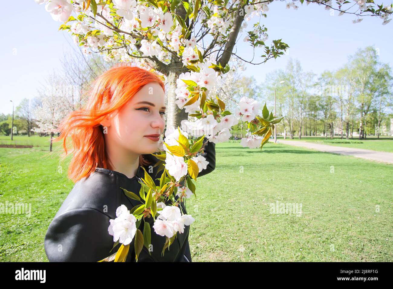 Adorable young girl having fun in a spring park Stock Photo - Alamy