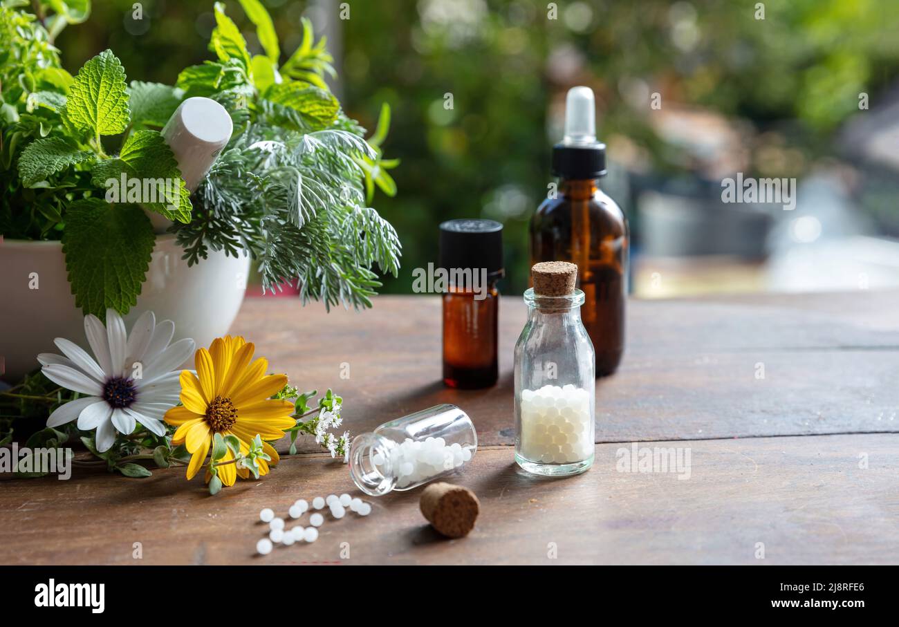 Homeopathy pharmacy, herbal, natural medicine. Homeopathic globules ...