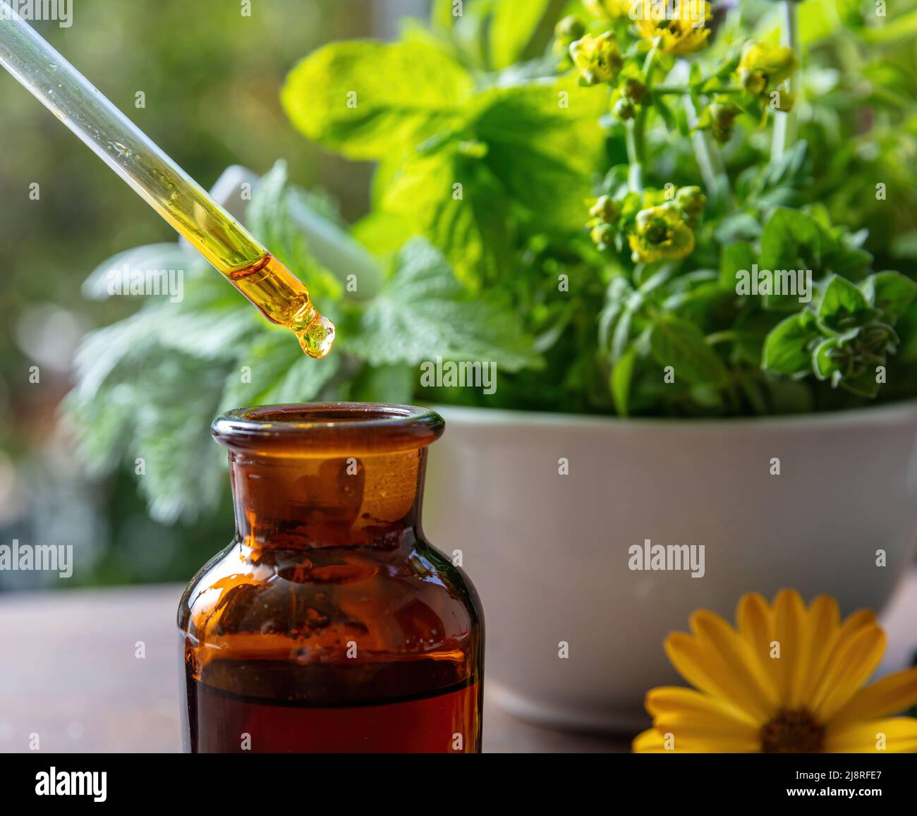 Essential oil drop falling in a glass bottle, close up. Alternative ...