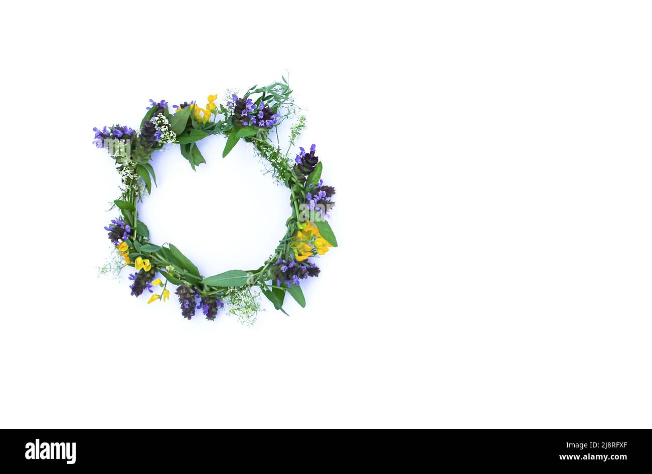 Green tree round crown Cut Out Stock Images & Pictures - Alamy