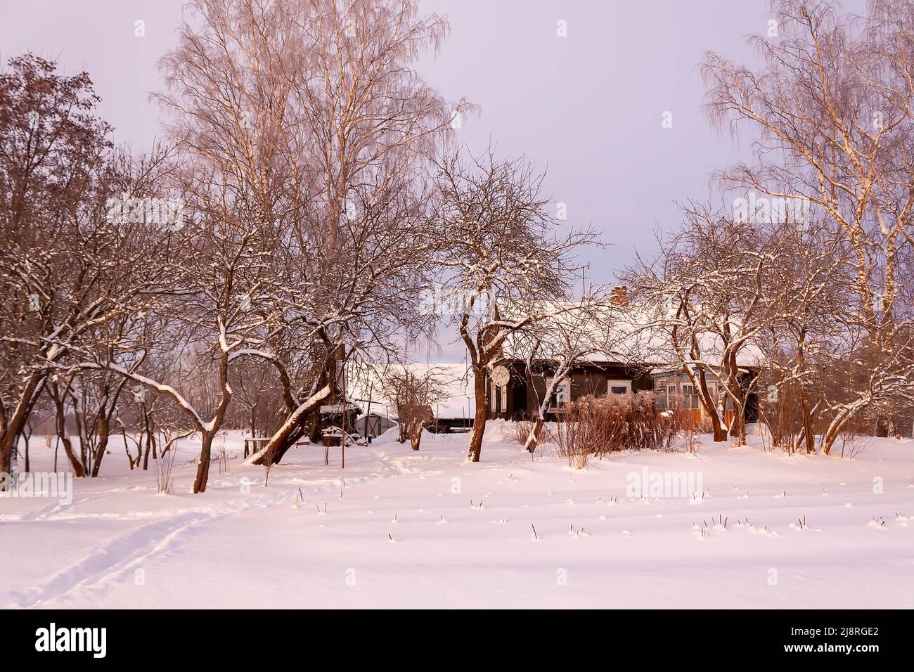 Winter nature details Stock Photo - Alamy